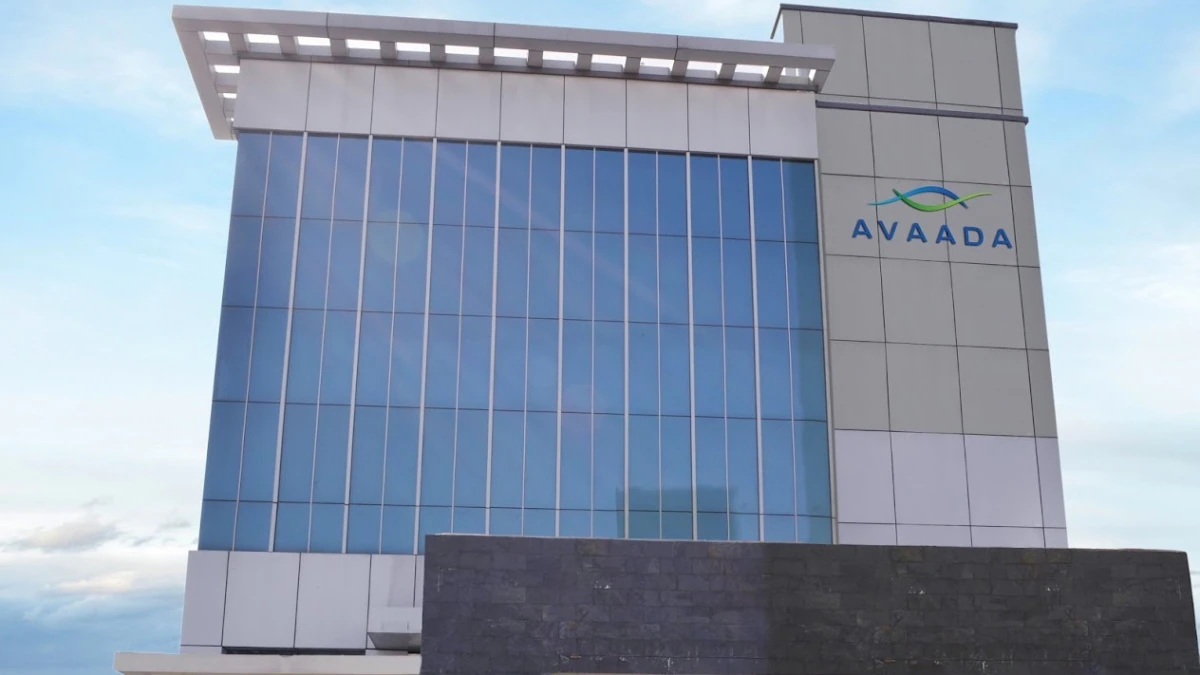 Avaada Group closes US$1.3bn funding round | Private Equity Insights